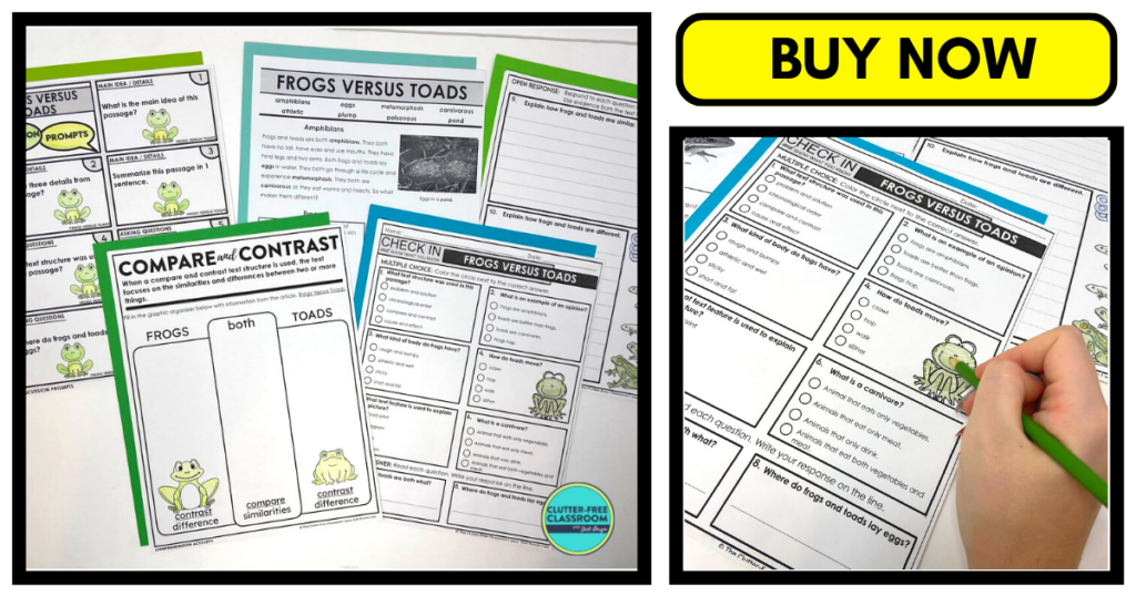 Spring Reading Comprehension Activities for 2nd, 3rd, and 4th Grade ...