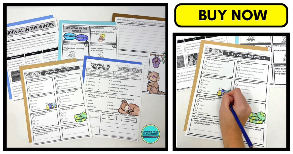 Groundhog Day Reading Comprehension Activities for 2nd, 3rd, and 4th ...