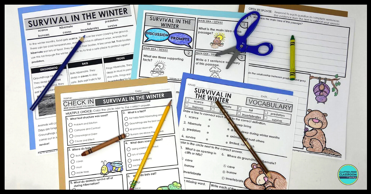 Groundhog Day Reading Comprehension Activities for 2nd, 3rd, and 4th ...