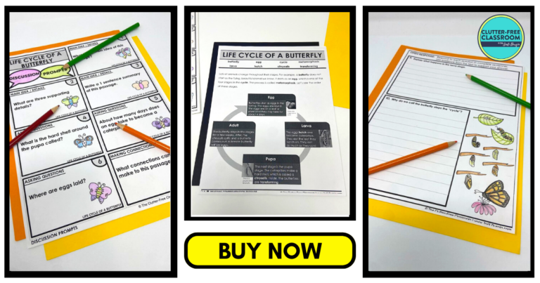 Butterfly Reading Comprehension Activities for 2nd, 3rd, and 4th Grade ...