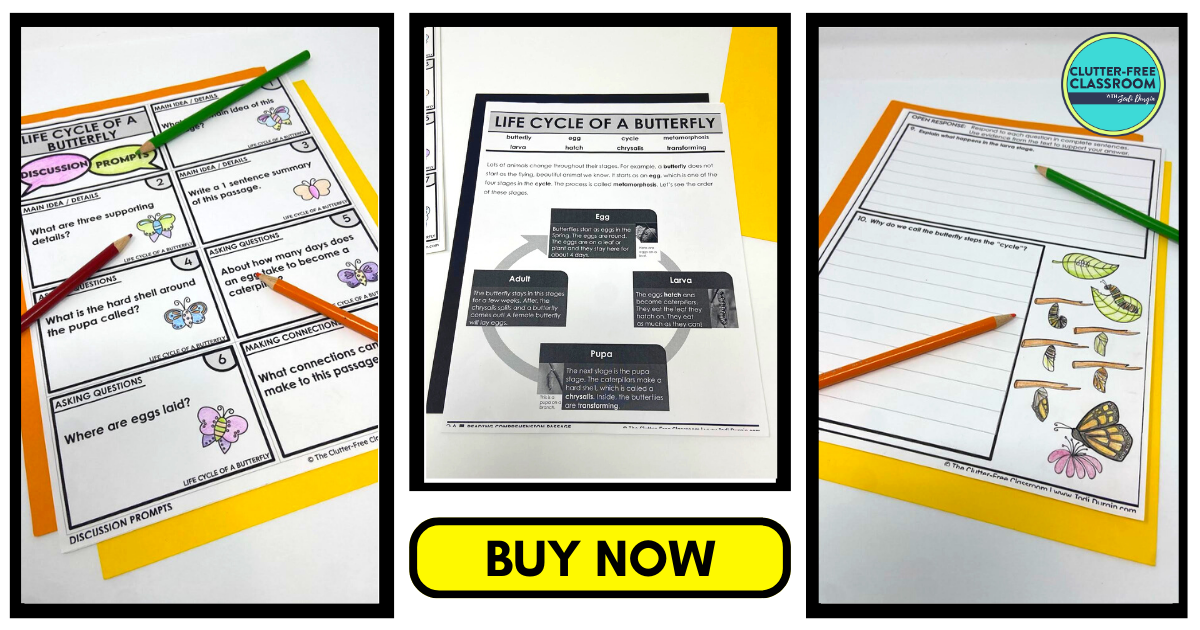 Butterfly Reading Comprehension Activities for 2nd, 3rd, and 4th Grade ...
