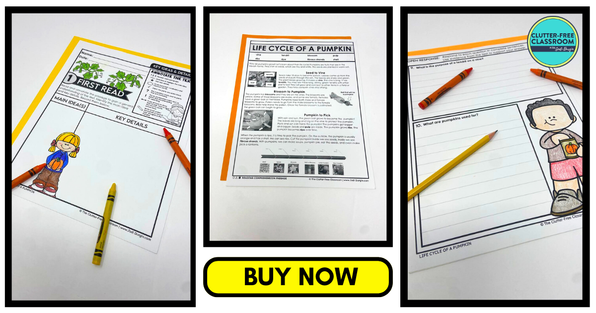 Pumpkin Reading Comprehension Activities for 2nd, 3rd, and 4th Grade ...