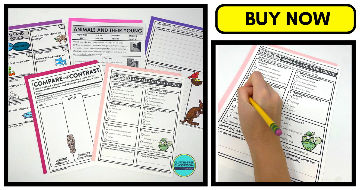 Mother's Day Reading Comprehension Activities for 2nd, 3rd, and 4th ...