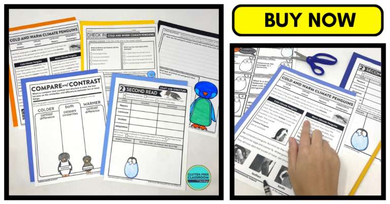 Penguins Reading Comprehension Activities for 2nd, 3rd, and 4th Grade ...