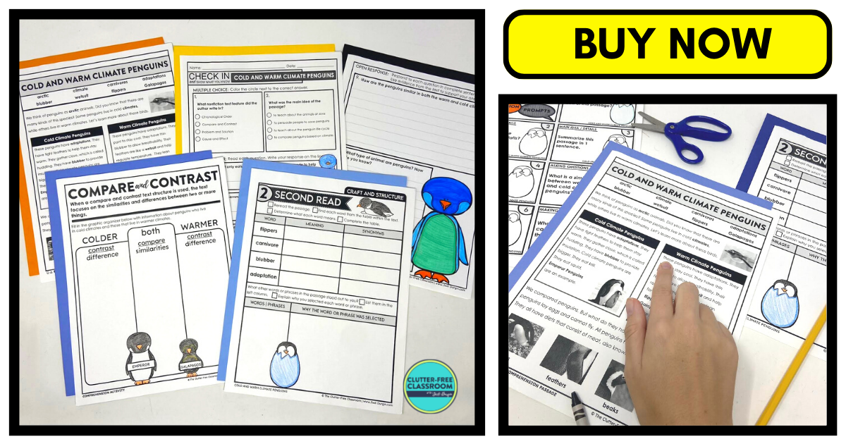 Penguins Reading Comprehension Activities for 2nd, 3rd, and 4th Grade ...