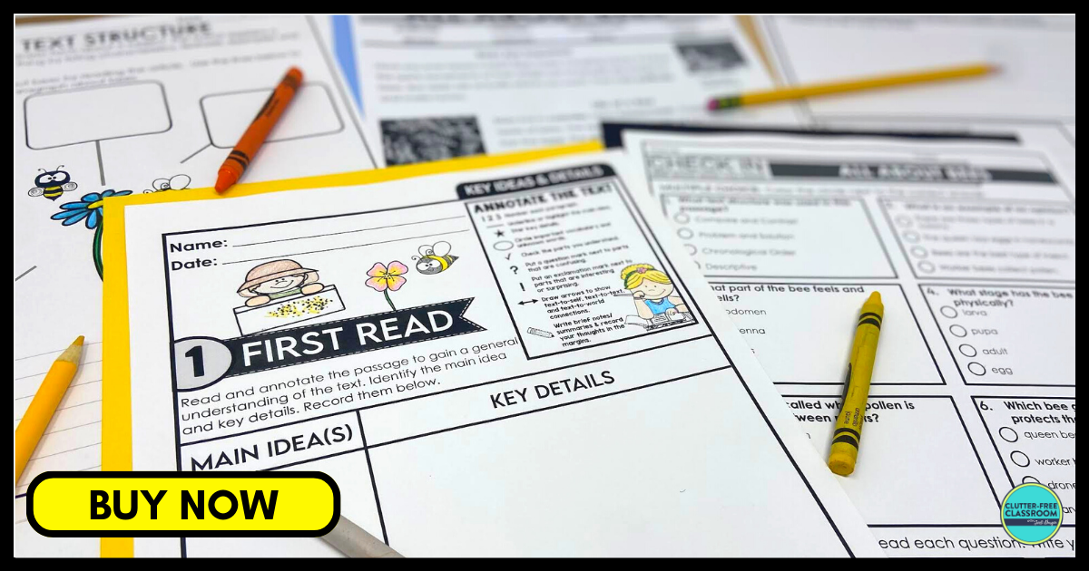 Bee Reading Comprehension Activities for 2nd, 3rd, and 4th Grade ...