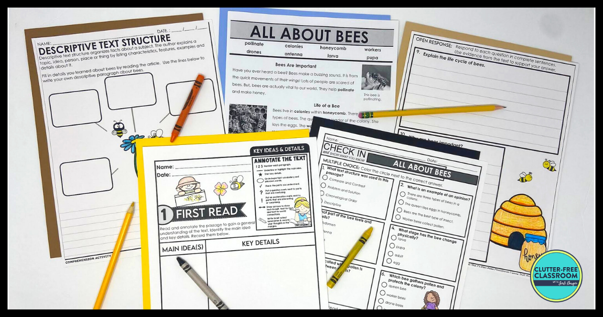 Bee Reading Comprehension Activities for 2nd, 3rd, and 4th Grade ...