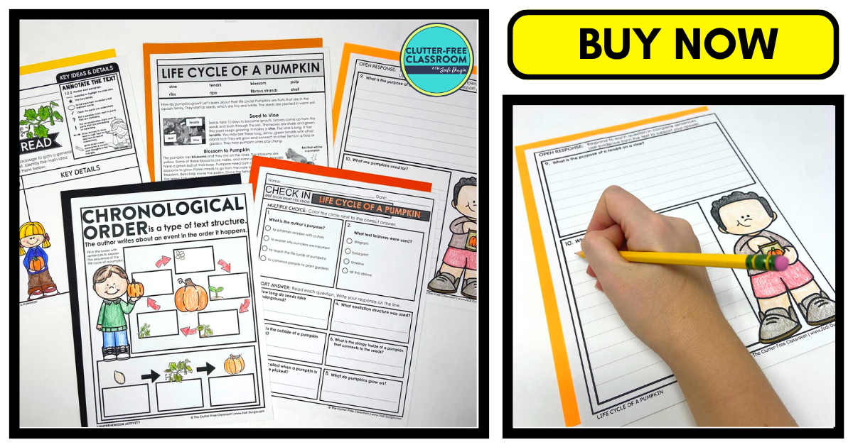 Pumpkin Reading Comprehension Activities for 2nd, 3rd, and 4th Grade ...