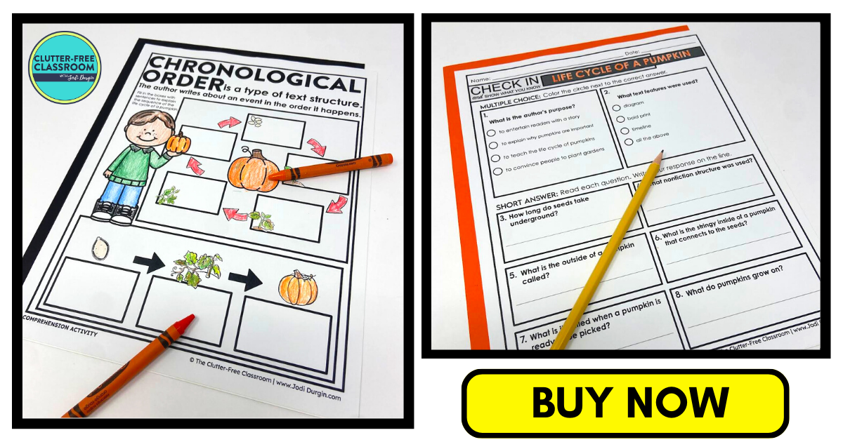 Pumpkin Reading Comprehension Activities for 2nd, 3rd, and 4th Grade ...