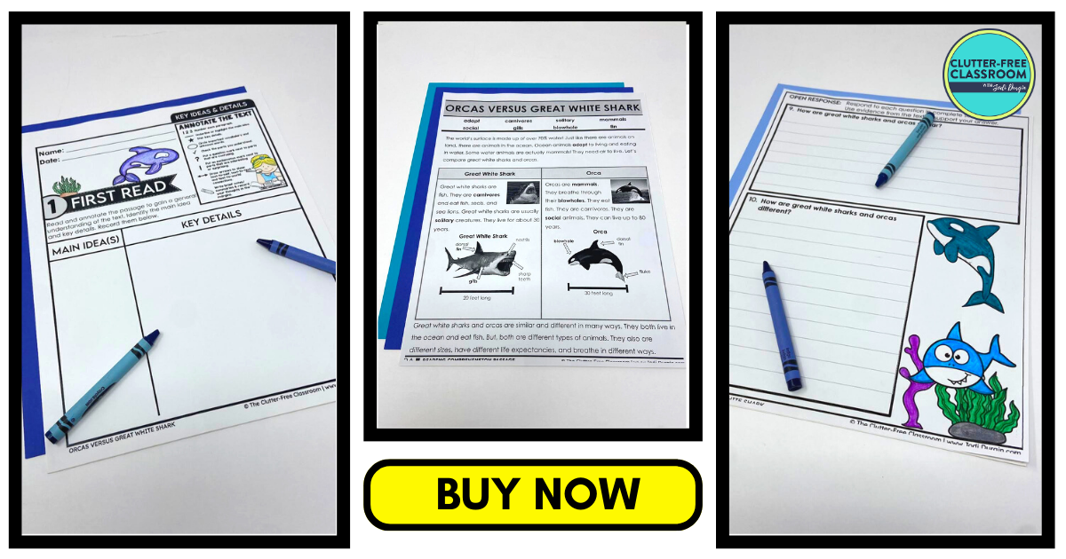 Sharks Reading Comprehension Activities for 2nd, 3rd, and 4th Grade ...