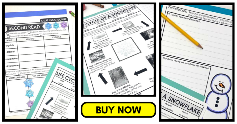 Snow Reading Comprehension Activities for 2nd, 3rd, and 4th Grade ...