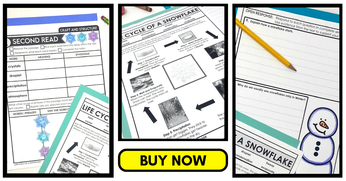 Snow Reading Comprehension Activities for 2nd, 3rd, and 4th Grade ...