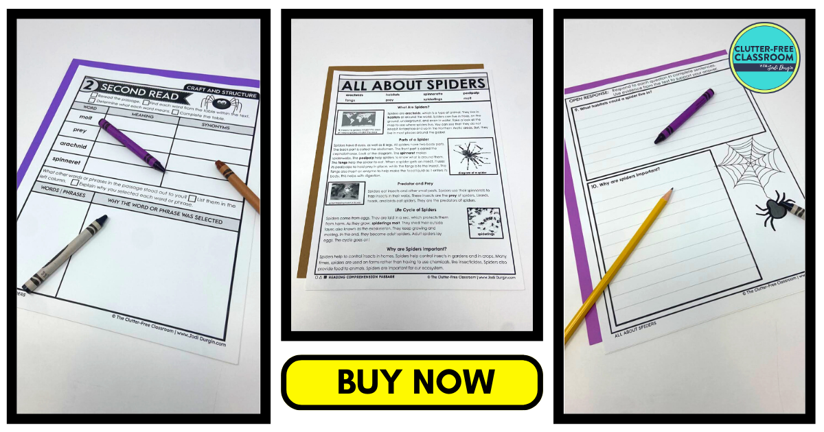Spider Reading Comprehension Activities for 2nd, 3rd, and 4th Grade ...