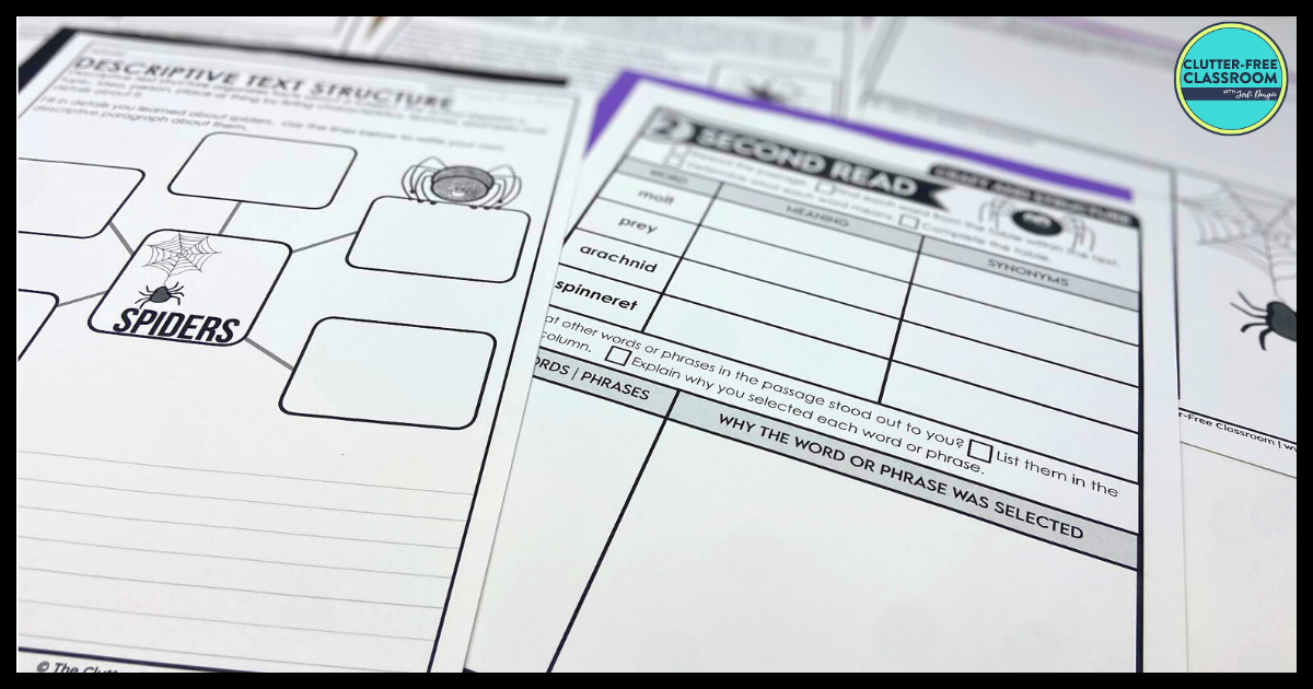 Spider Reading Comprehension Activities for 2nd, 3rd, and 4th Grade ...