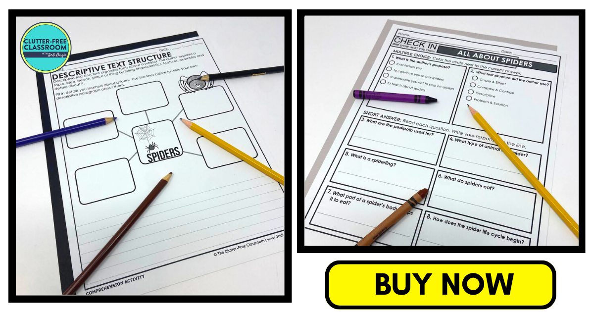Spider Reading Comprehension Activities for 2nd, 3rd, and 4th Grade ...