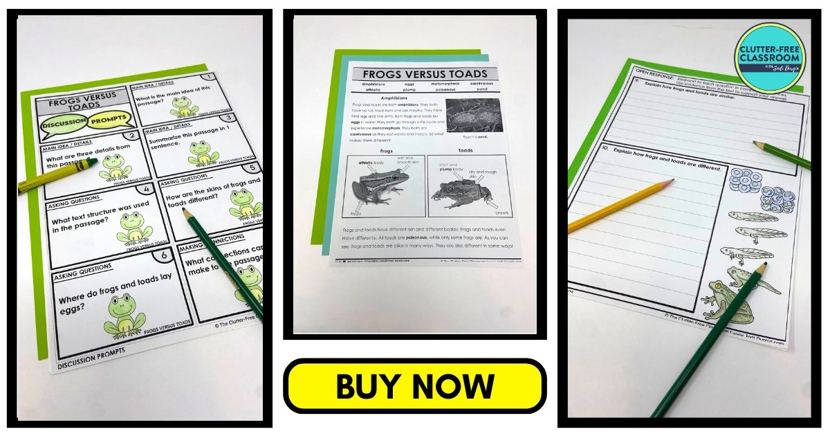 Spring Reading Comprehension Activities for 2nd, 3rd, and 4th Grade ...