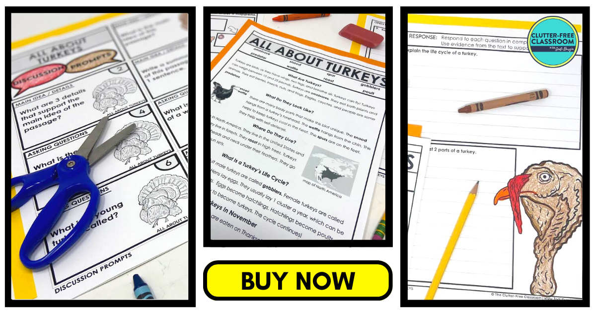 Turkey Reading Activities for 2nd, 3rd, and 4th Grade - Teaching with ...