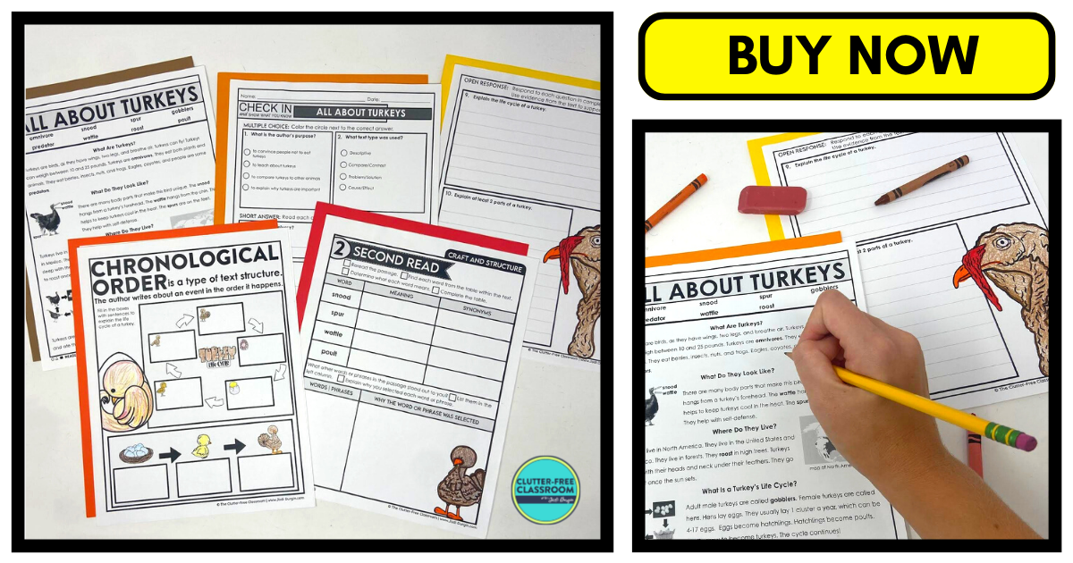 Turkey Reading Activities for 2nd, 3rd, and 4th Grade - Teaching with ...
