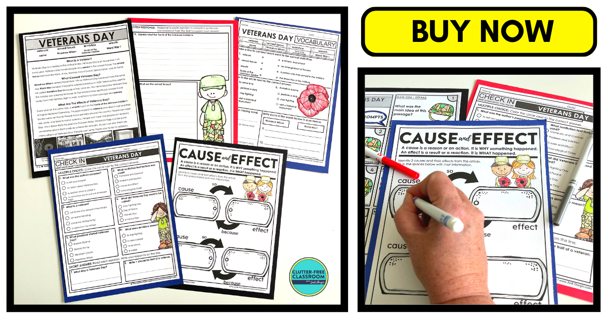 Veterans Day Reading Comprehension Activities for 2nd, 3rd, and 4th ...