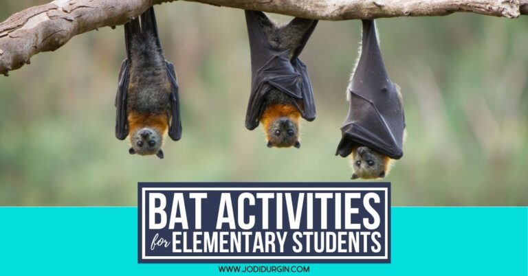 Bat Activities for Elementary Students in 2025 - Teaching with Jodi Durgin and Company