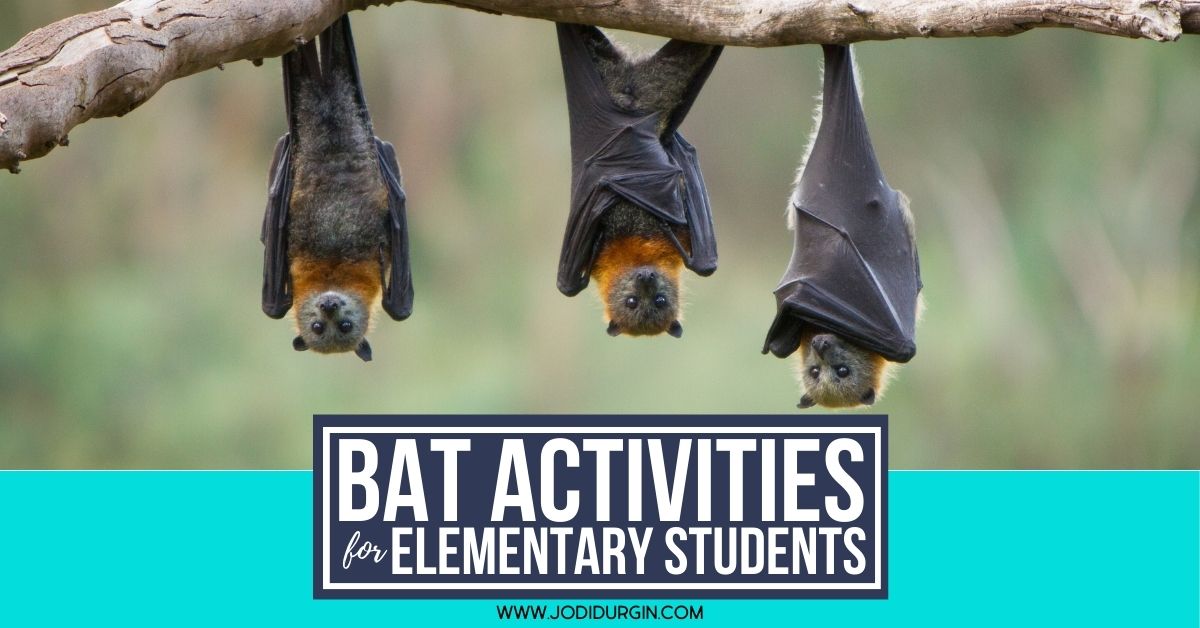 Bat Activities for Elementary Students in 2025 - Teaching with Jodi ...