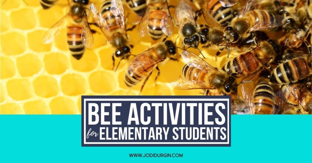 Bee Activities for Kids at the Elementary Level in 2025 - Teaching with ...