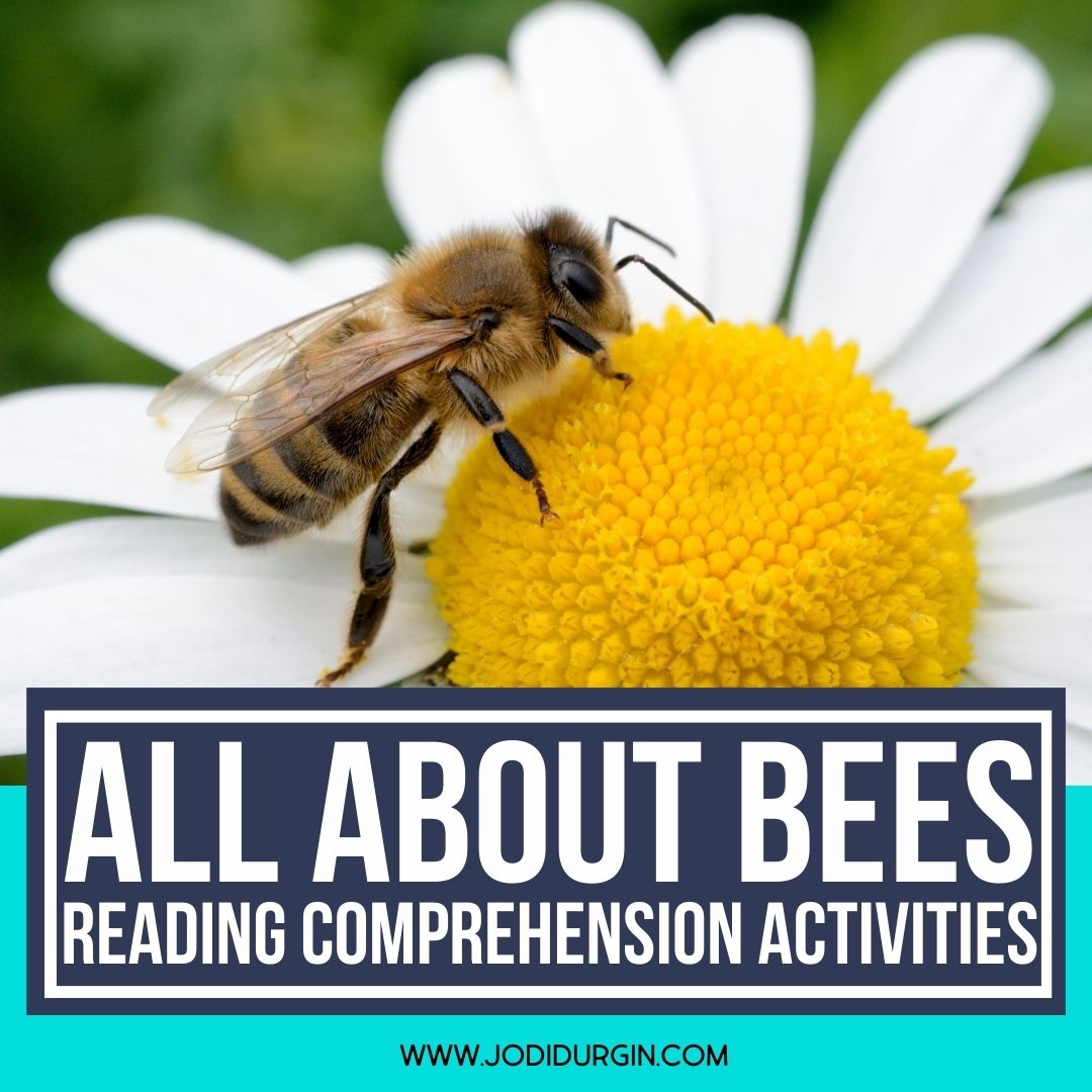 Bee Reading Comprehension Activities for 2nd, 3rd, and 4th Grade ...