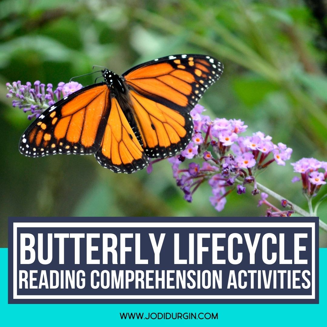 Butterfly Reading Comprehension Activities for 2nd, 3rd, and 4th Grade ...