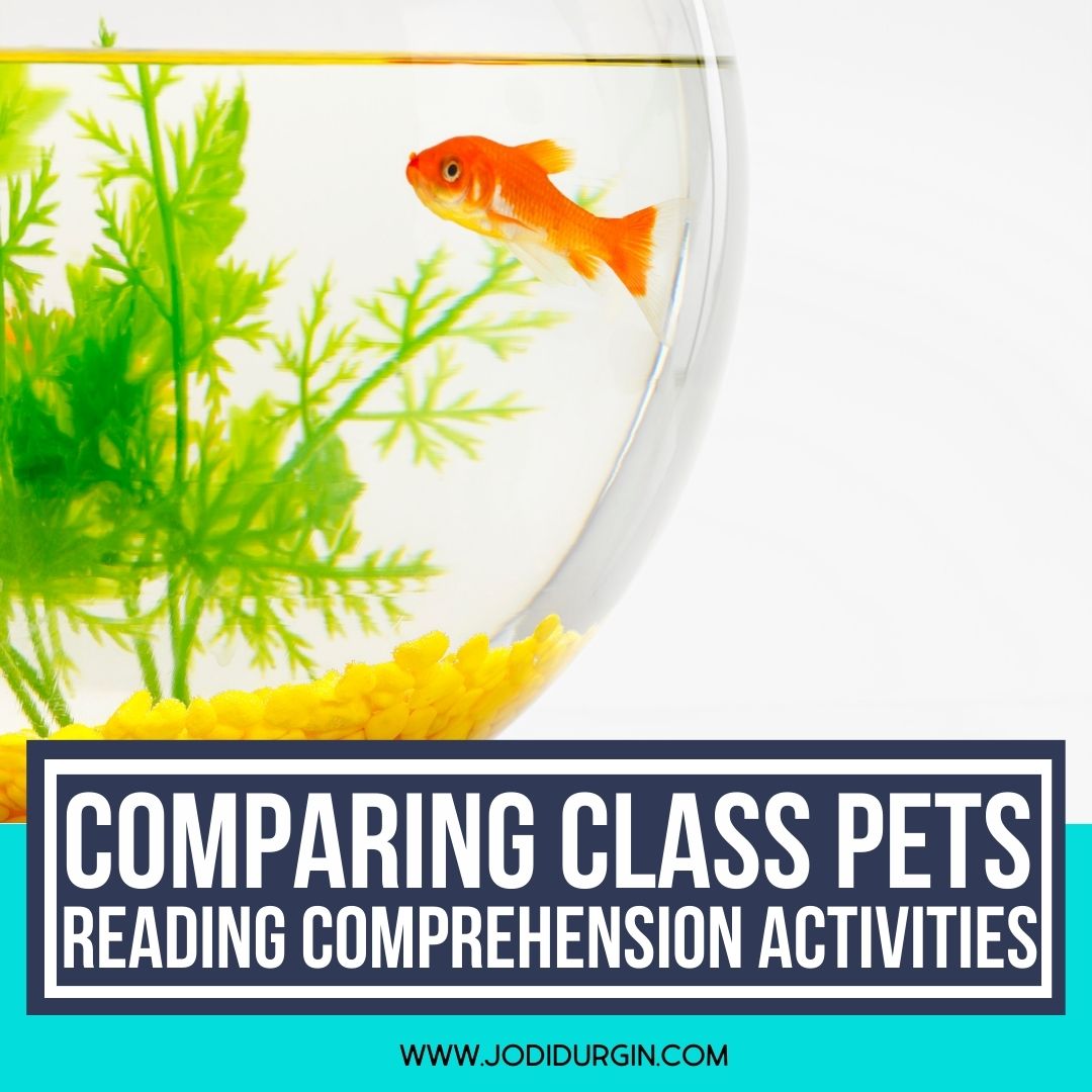 Class Pet Activities for 2nd, 3rd, and 4th Grade - Teaching with Jodi ...