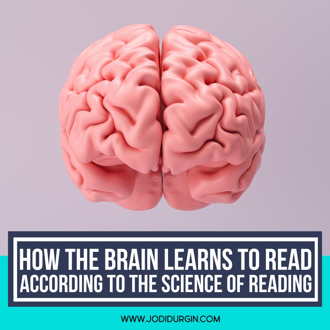 How the Brain Learns to Read According to the Science of Reading - Teaching with Jodi Durgin and ...