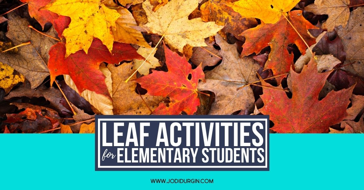 Leaf Activities for Elementary Students in 2026 - Teaching with Jodi ...