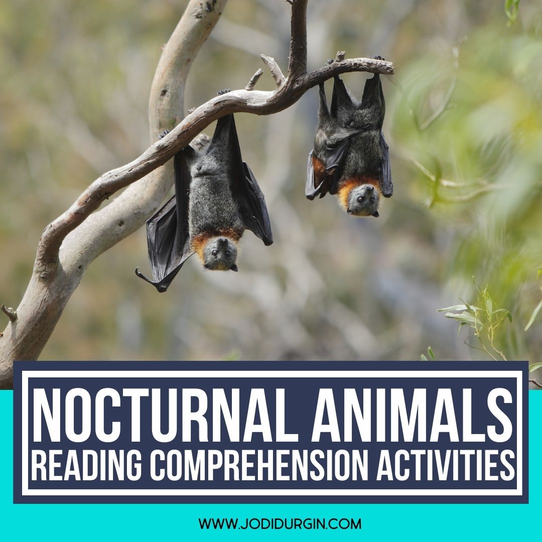 Bats Reading Comprehension Activities for 2nd, 3rd, and 4th Grade ...