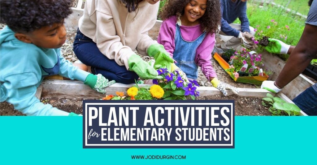 Plant Activities for Kids at the Elementary Level in 2026 - Teaching ...