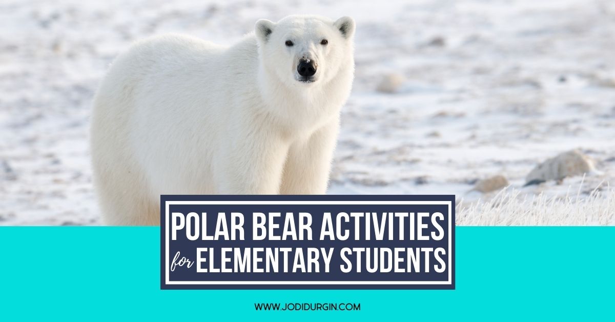 Polar Bear Activities for Kids at the Elementary Level - 2026 ...