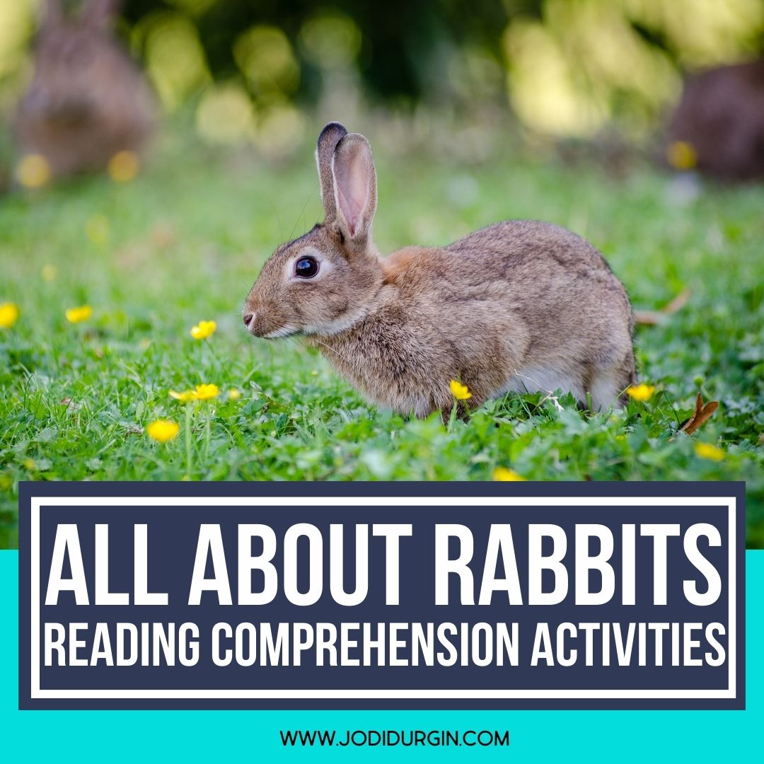 Easter Reading Comprehension Activities for 2nd, 3rd, and 4th Grade ...