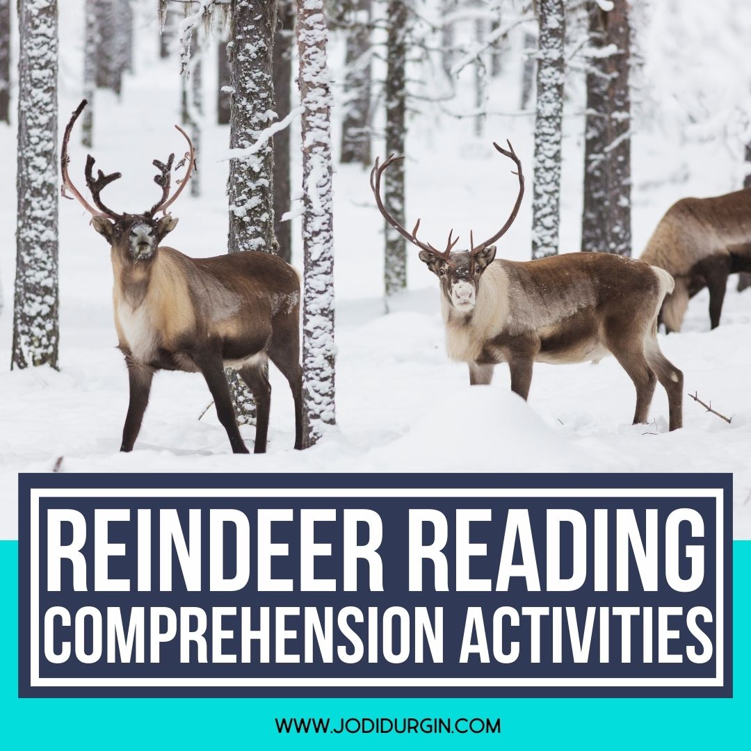 Reindeer Reading Comprehension Activities for 2nd, 3rd, and 4th Grade ...