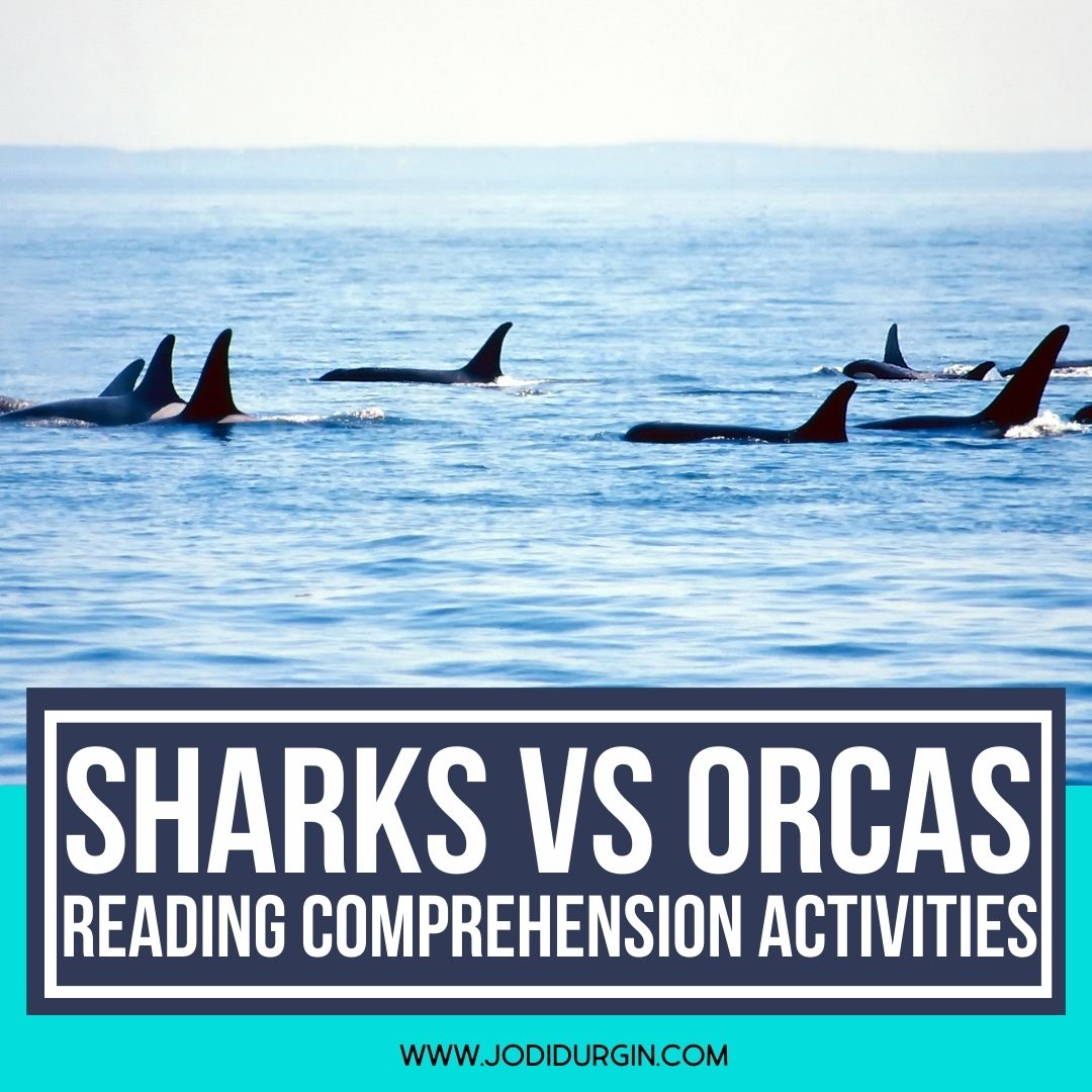 Sharks Reading Comprehension Activities for 2nd, 3rd, and 4th Grade ...