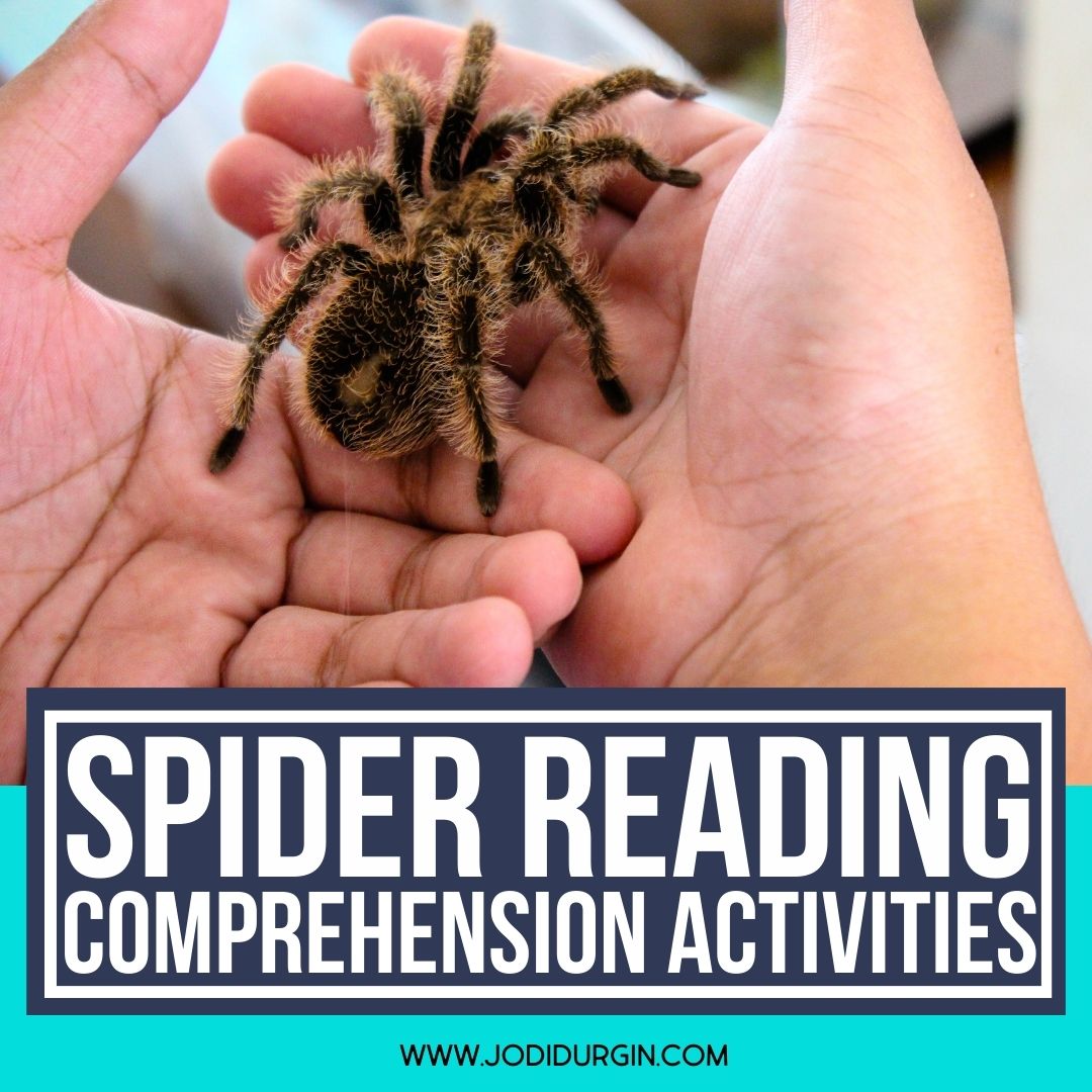Spider Reading Comprehension Activities for 2nd, 3rd, and 4th Grade ...