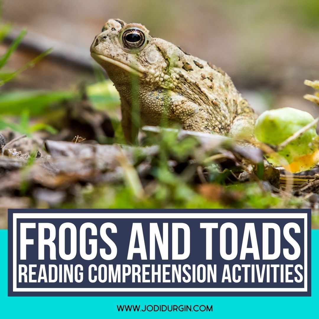 Spring Reading Comprehension Activities for 2nd, 3rd, and 4th Grade ...