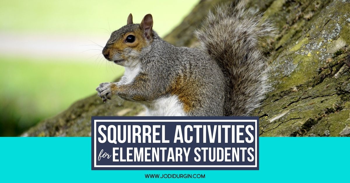 Squirrel Activities for Kids at the Elementary Level in 2026 - Teaching ...