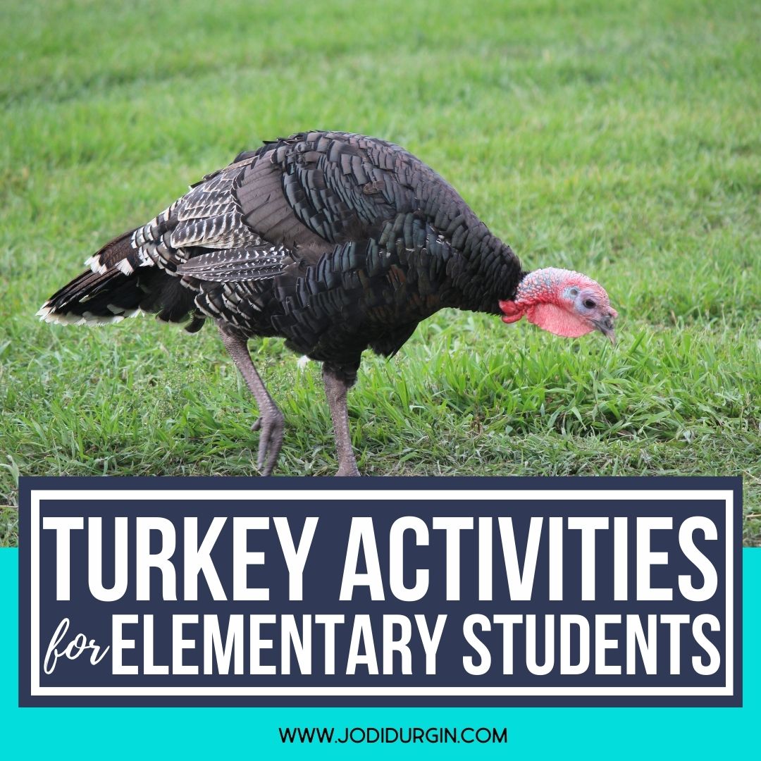 Turkey Activities for Elementary Students in 2026 - Teaching with Jodi ...
