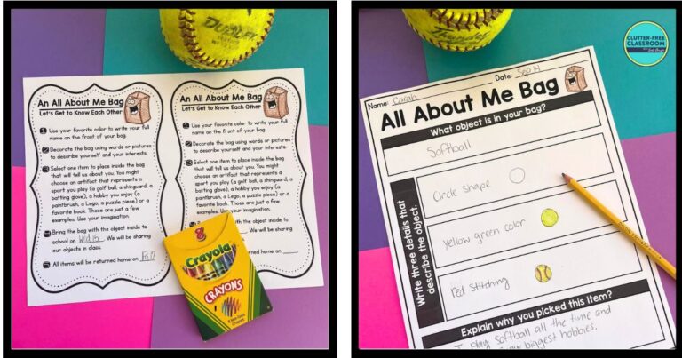 All About Me Bag Activity Ideas for Elementary Teachers in 2026 ...