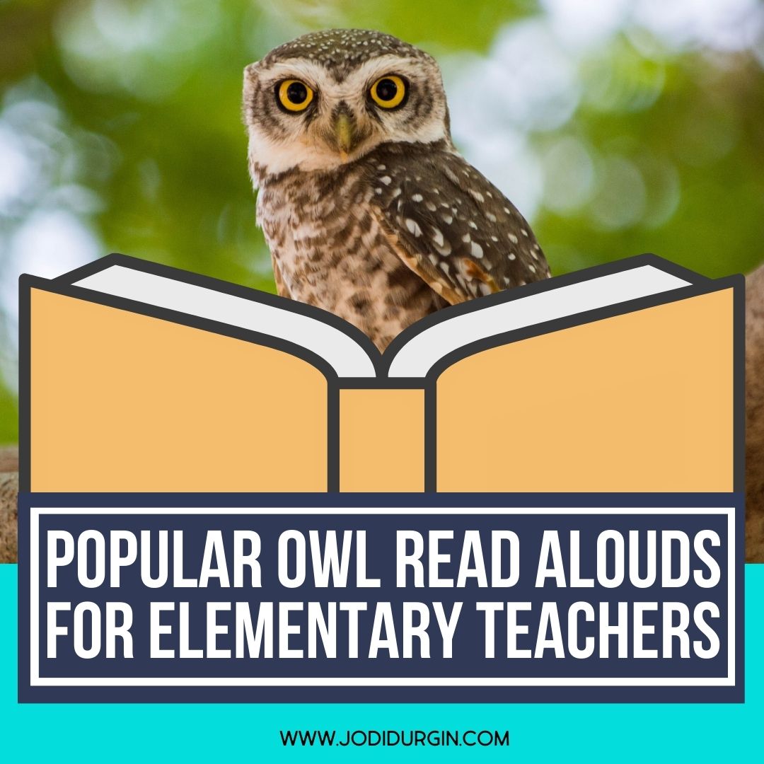 Owl Books for Elementary Teachers to Use as Read Alouds - 2025 ...