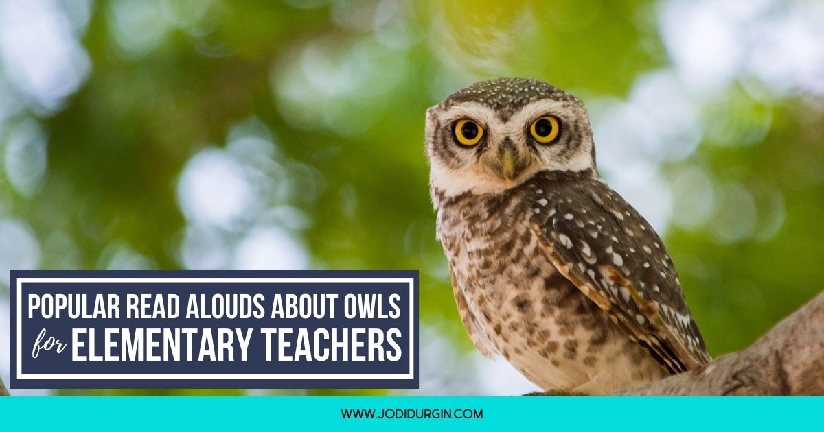 Owl Books for Elementary Teachers to Use as Read Alouds - 2025 ...