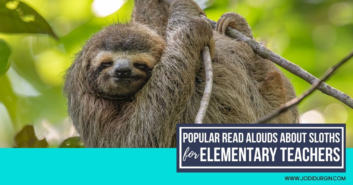 Sloth Books for Elementary Teachers to Use as Read Alouds - 2025 ...